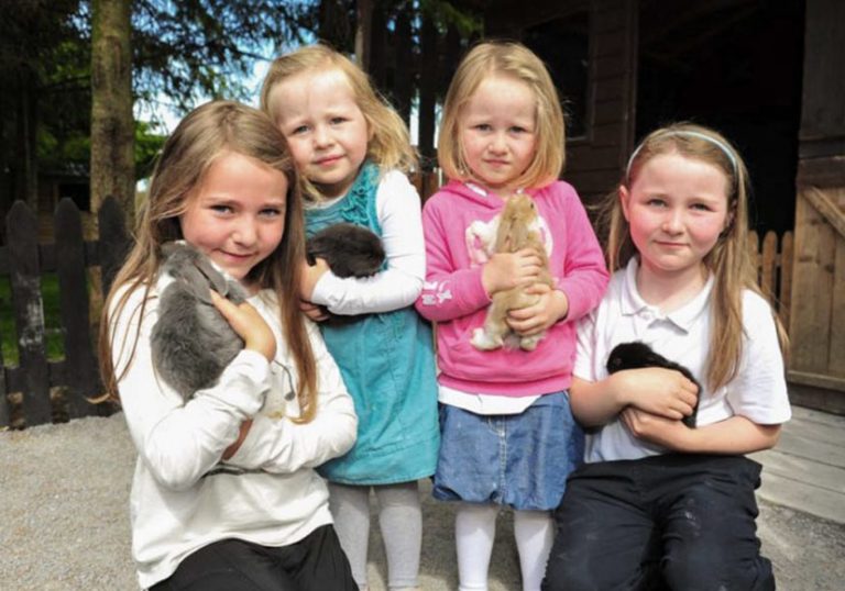 Glendeer Pet Farm - Athlone