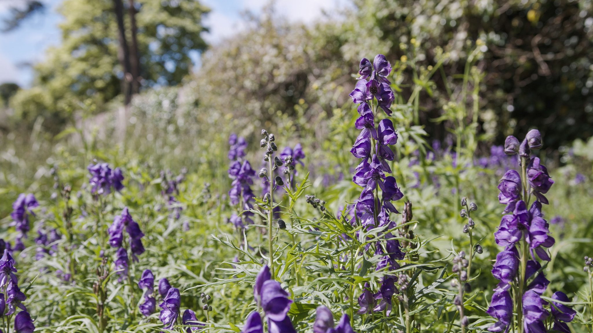 The National Famine Museum Strokestown Park - Athlone