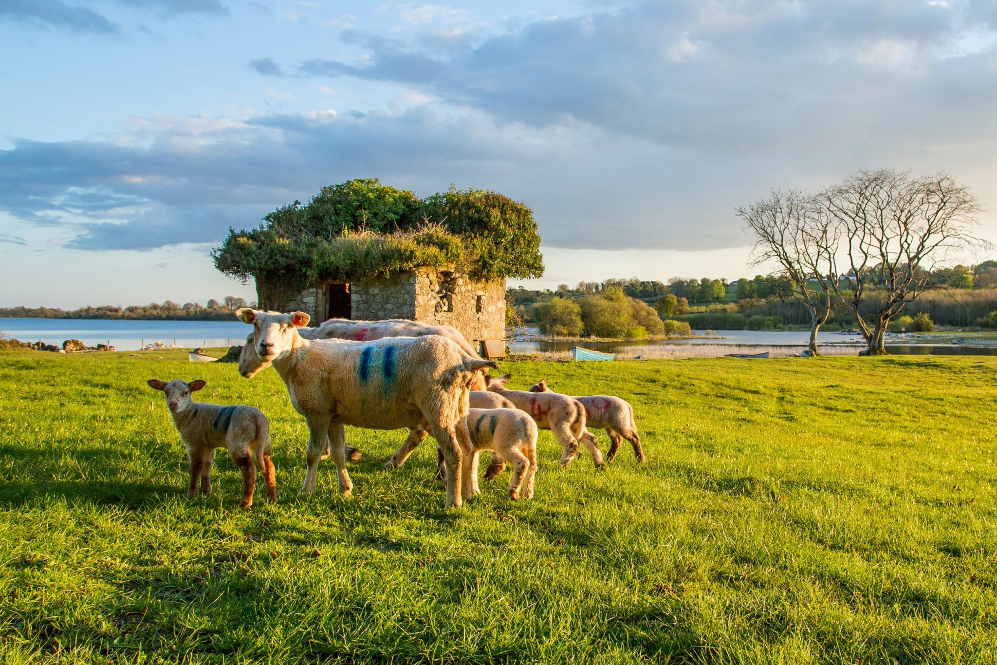 Exploring the Great Outdoors - Athlone
