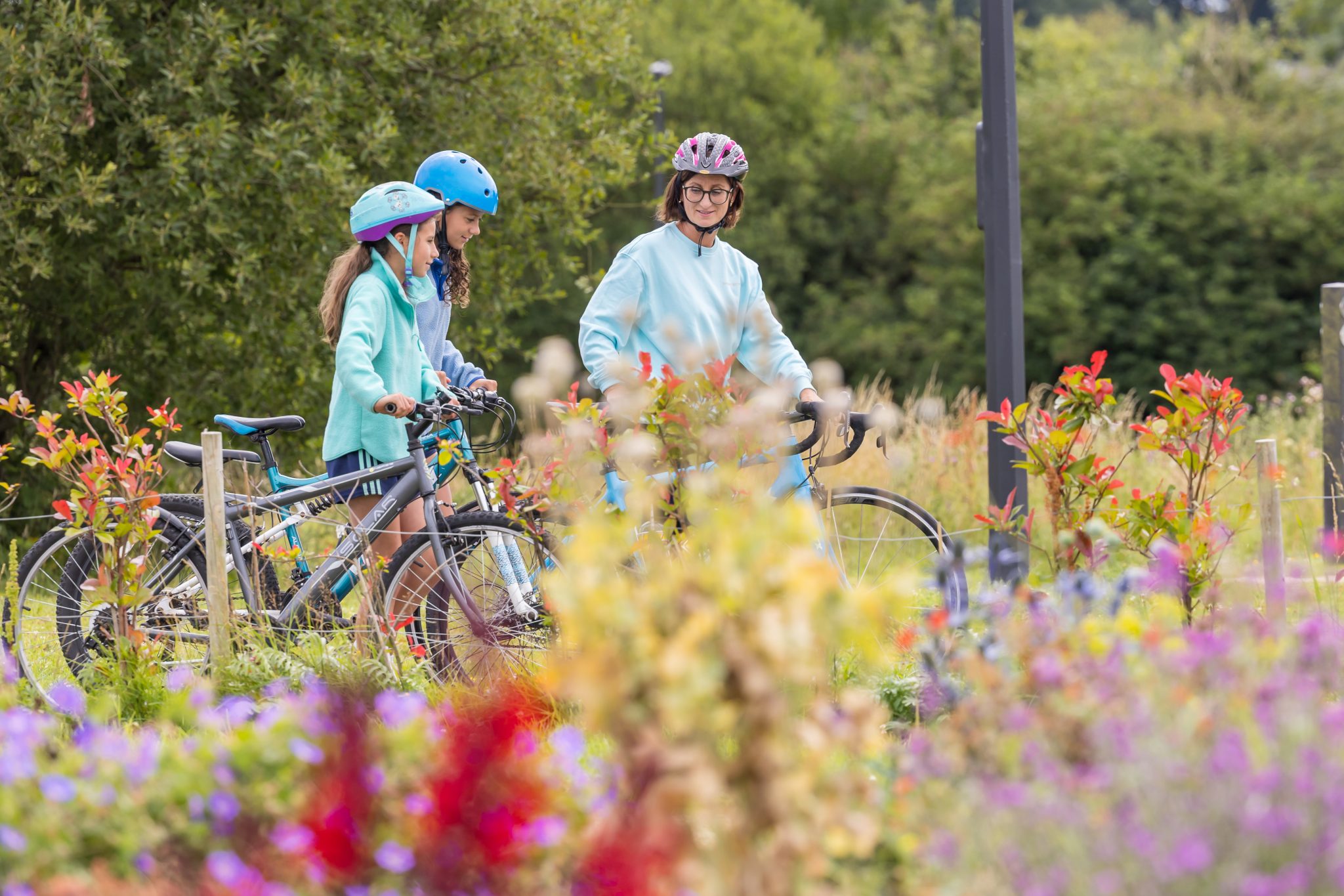 The Old Rail Trail Greenway - Athlone