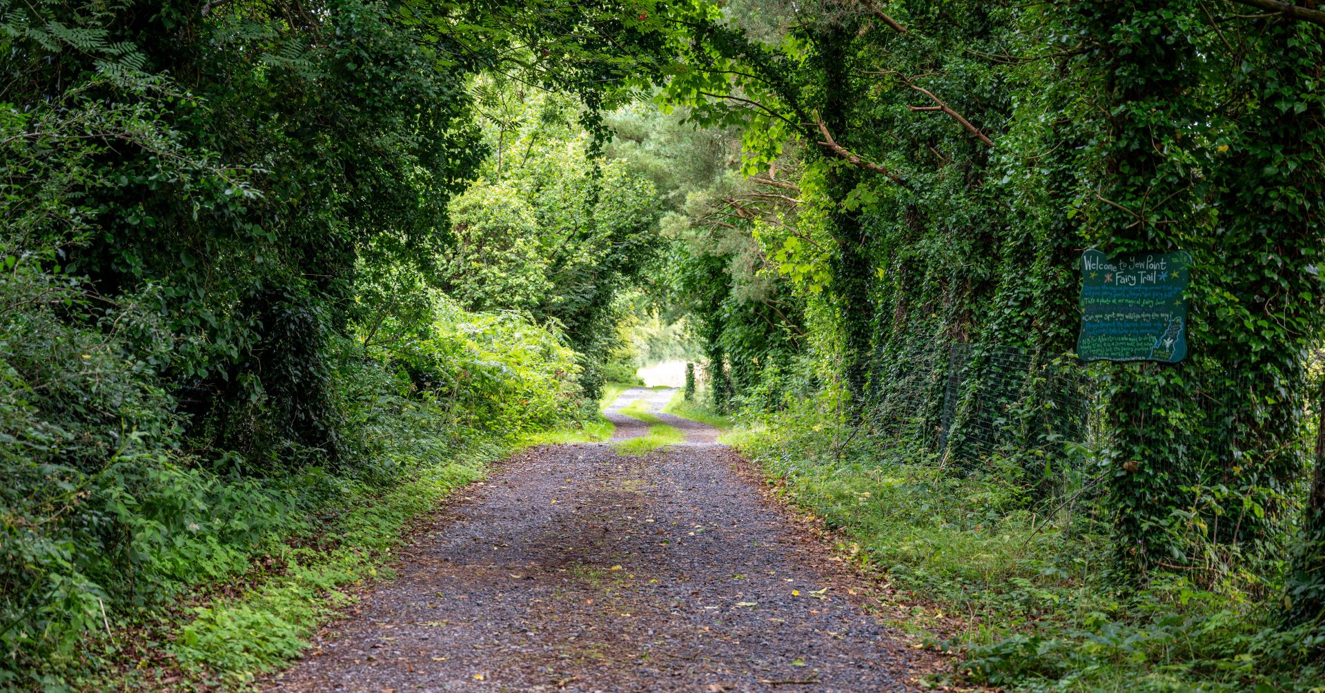 Yew Point at Hodson Bay - Athlone