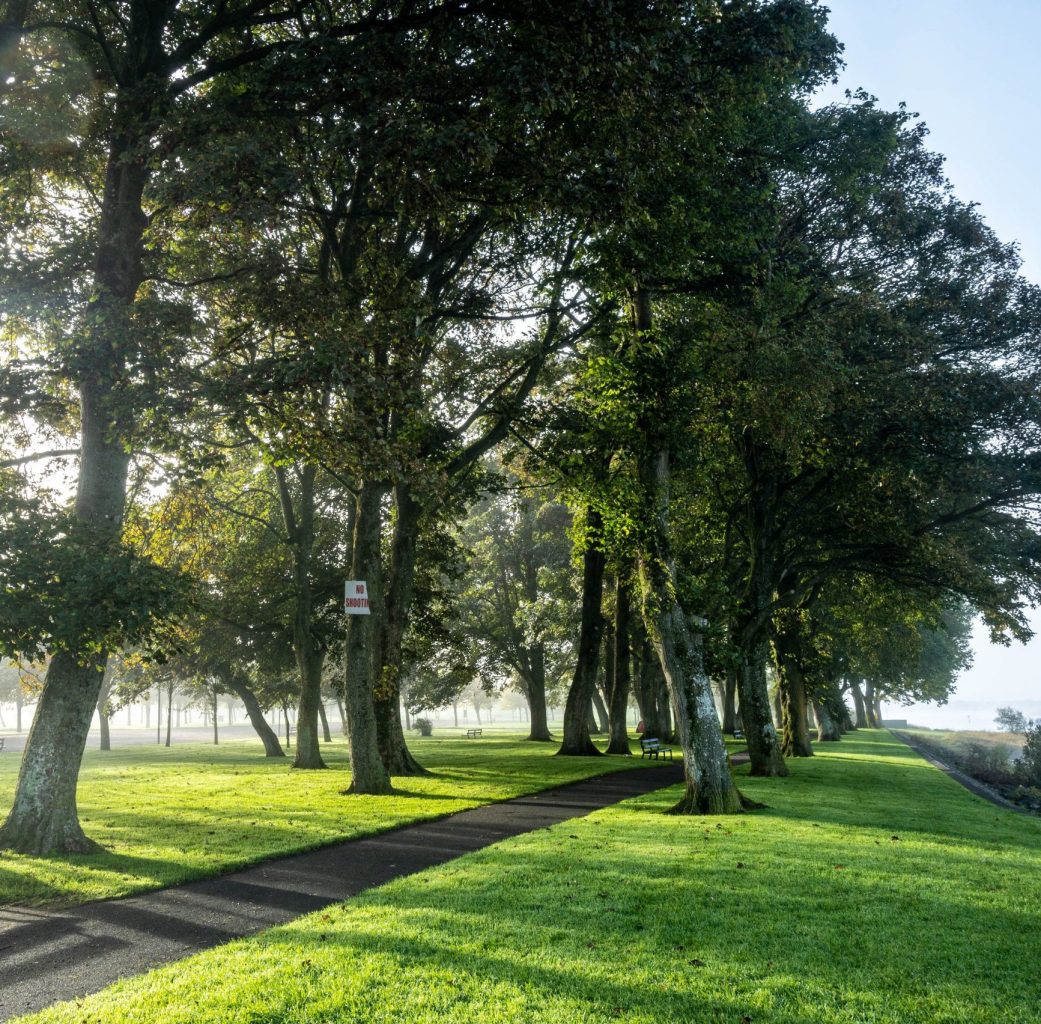 Athlone - At the heart of it